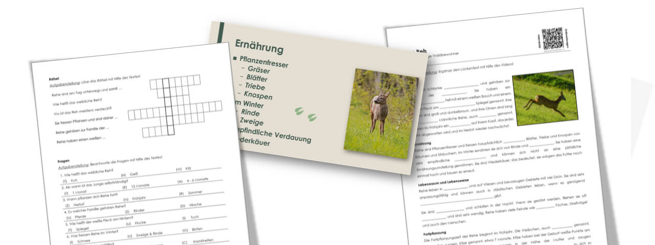 Der Ablasshandel im Mittelalter: Entstehung und Bedeutung - Erklärung ...